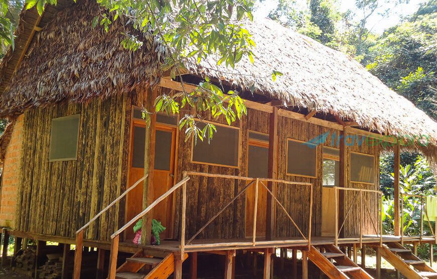 Madidi National Park Jungle Tour from Rurrenabaque - 3 Days