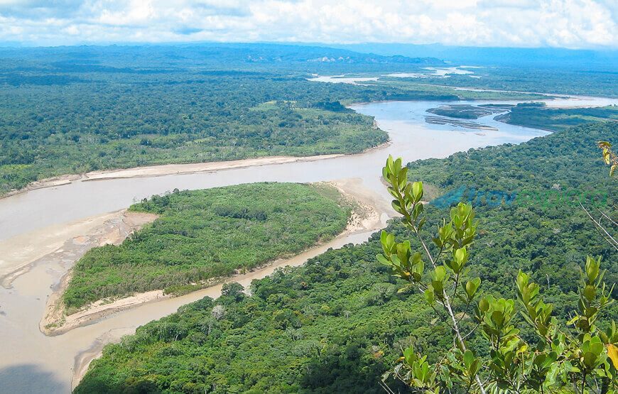 Madidi National Park Jungle Tour from Rurrenabaque - 3 Days